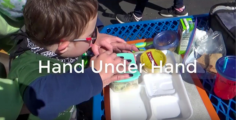 Video Fact Sheets | Resources | Idaho CYDB